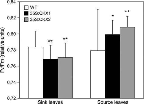 Maximum Quantum Yield Fvfm Of Psii In Source And Sink Leaves Of Download Scientific Diagram