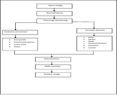 Overall Feature Extraction And Flow Of The Model Download Scientific Diagram