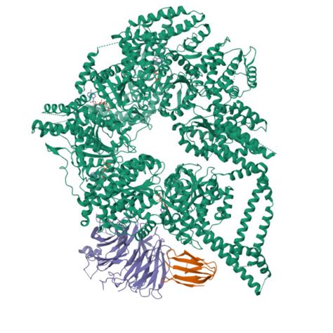 RCSB PDB - 9DKM: CryoEM structures of yeast cytoplasmic dynein in the presence of ATP and Lis1.