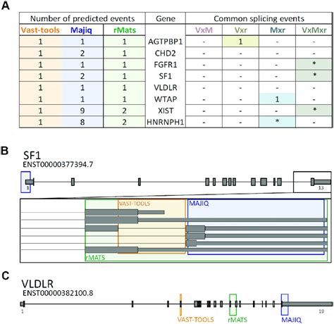Analysis Of Genes With Alternative Splicing Events Predicted To Be Download Scientific Diagram