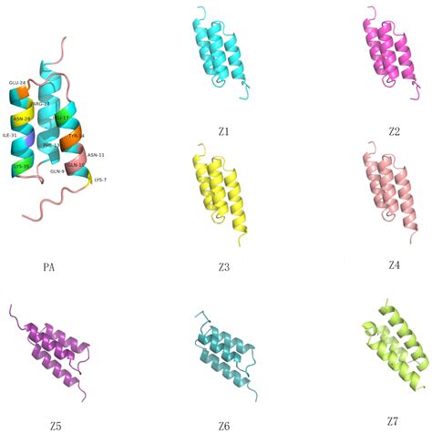 Protein A Like Peptide Design Based On Diffusion And Esm2 Models