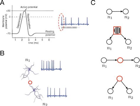 Inferring Neural Information Flow From Spiking Data Pmc