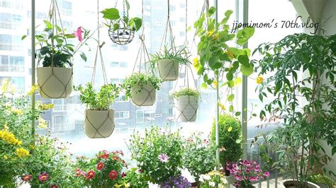 재활용 행거로 꾸며진 베란다정원 손쉬운 화분걸이 만드는방법 Hanging Plants Hanging Plant Holder Flower Pots