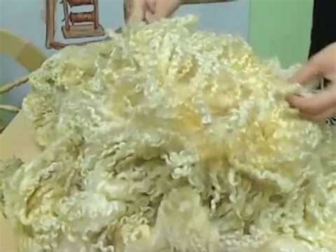 Кудри Белый готланд-24082013 - YouTube