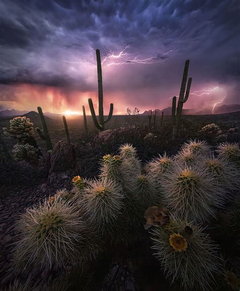Chasing The Light Prints Marc Adamus Photography