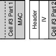Structure Of The TLS Records Download Scientific Diagram
