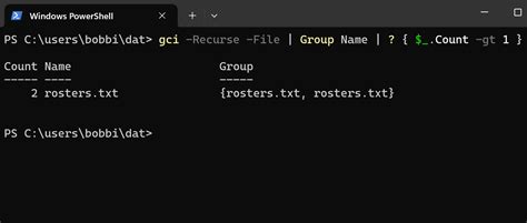 How To Find Duplicate Files In Powershell With Example Collecting