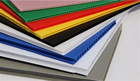 Chloroplast Plastic Board Educational Model And Signage