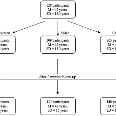 A Flowchart Indicating The Number Of Participants And Average Age Of