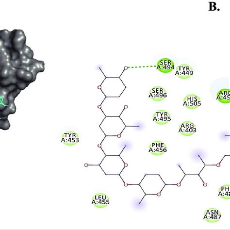 Binding Interaction Of Ligands With The Lowest Binding Energy