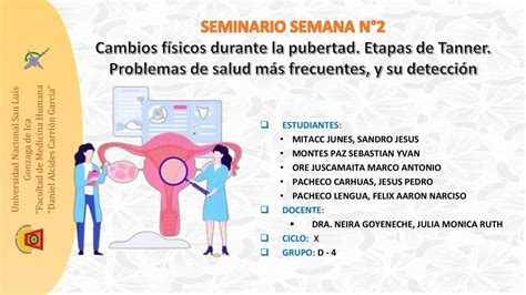 Cambios Físicos Durante La Pubertad Play Juegossideral Udocz