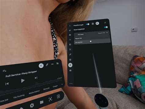 The Complete Guide To Passthrough AR Porn On SLR