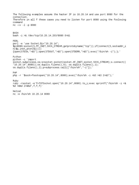 Code Execution Reverse Shell Commands Pdf