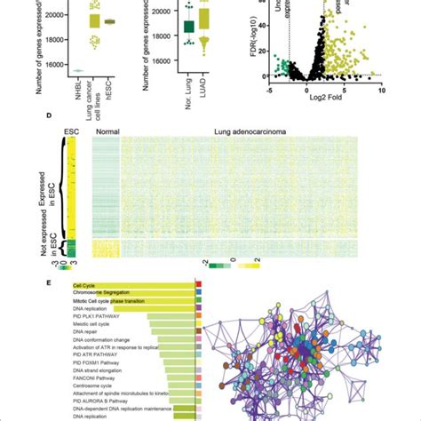 Identification Of Stemness Associated Lncrna A The Total Numbers