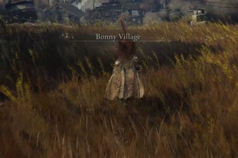 How To Reach Bonny Village In Elden Ring Shadow Of The Erdtree Qm Games