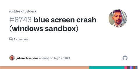 Blue Screen Crash Windows Sandbox · Issue 8743 · Rustdeskrustdesk