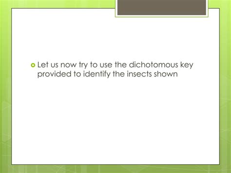 Classification Presentation Ppt