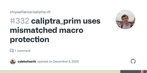 Caliptra Prim Uses Mismatched Macro Protection Issue 332