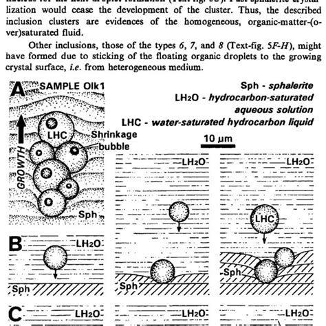 Cluster Of Globular Inclusions In Sphalerite Filled With Organic Liquid