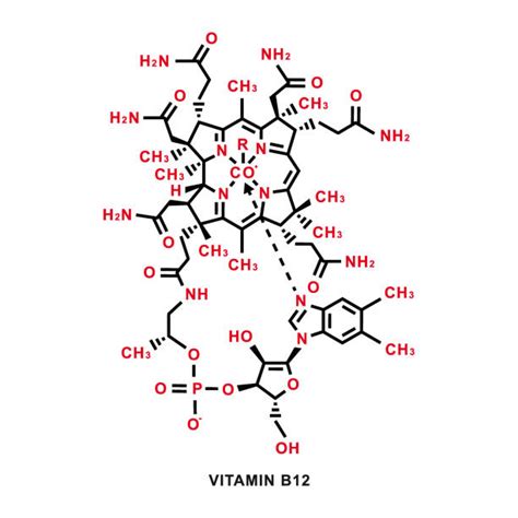 Vitamin B Structure