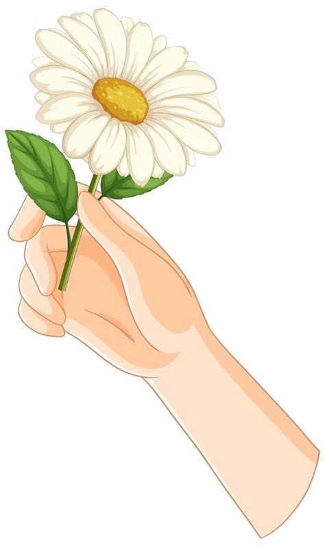 Hand Holding Flower Clipart Hand Giving Flower Stock Vector Images
