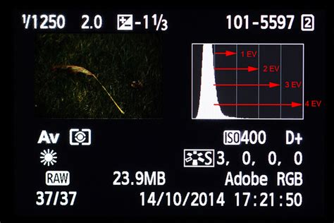 Use The Histogram On Your Camera To Your Advantage Fstoppers