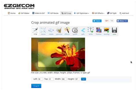 Crop Animated Images GIF APNG WebP AVIF