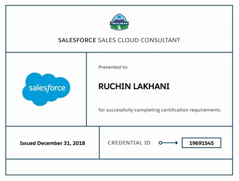Ruchin Lakhani On Linkedin Consultant Salesforce Salescloudconsultant Certification