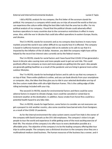 External And Internal Analysis Pdf