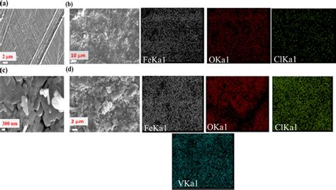 A SEM Image Of The Pristine MS B SEM Image And EDAX Mapping Of The MS Download Scientific