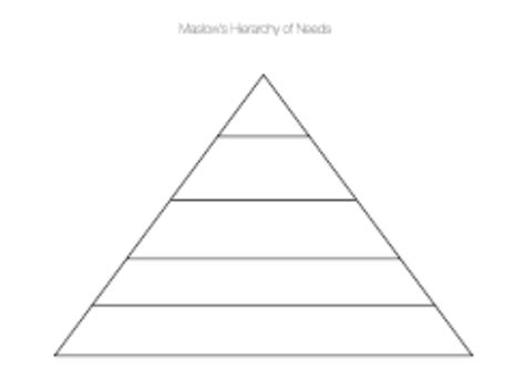 Blank Ecological Pyramid