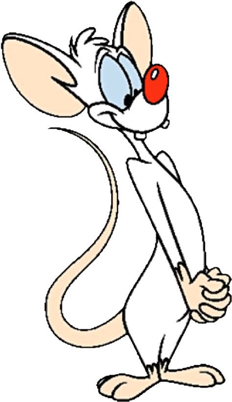 Pinky Brain Cartoon Free Png