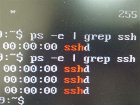 windows终端和ubuntu终端远程登录ubuntu服务器 ubuntu服务器安装好怎么登陆 csdn博客