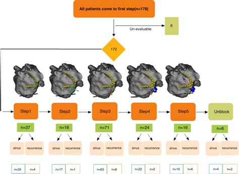 Simplified Stepwise Anatomical Ablation Strategy For Mitral Isthmus Efficacy Efficiency