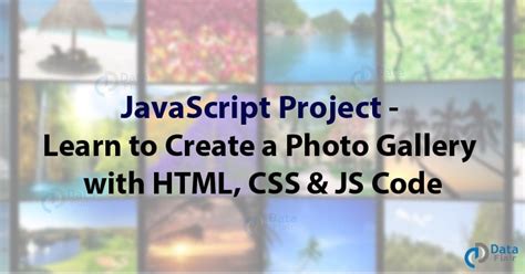 Javascript Project Creating A Photo Gallery With Html Css And Js Code