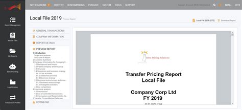 Download Free Transfer Pricing Policy Template