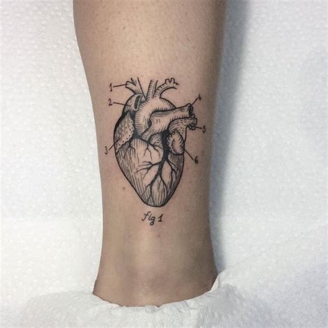 Anatomical Heart Tattoo With Flowers Best Flower Site
