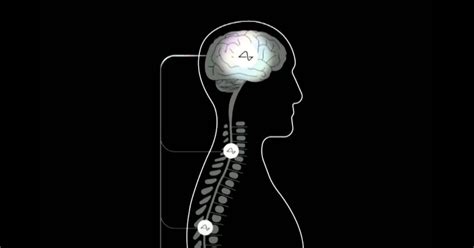Neuralinks Upgraded Brain Chip Hopes To Help The Blind See And The