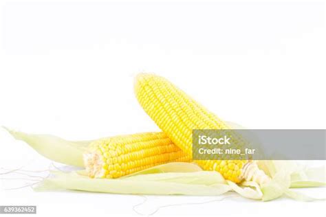 Jagung Manis Pada Tongkol Kernel Bijibijian Jagung Matang Foto Stok