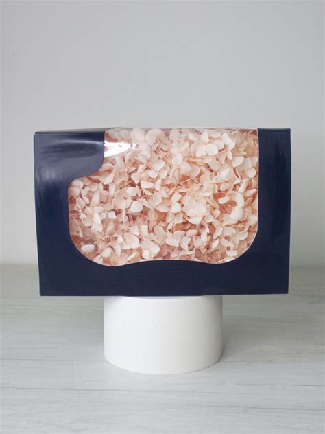 Папороть лісова стабілізована біла 60 см купити в Україні за низькою ціною • Dfb Elements