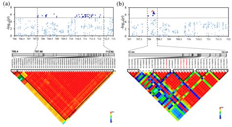 Candidate Region Associated With Stripe Rust Resistance On Chromosome Download Scientific
