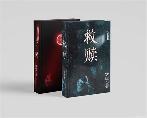 小说书籍封面宣传品设计作品 设计人才灵活用工 设计dna