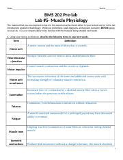 Lab 5 Pre Lab Docx Name Section BMS 202 Pre Lab Lab 5 Muscle Physiology The Material That