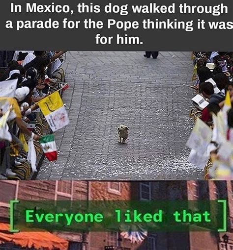 Nice R Mxrmods