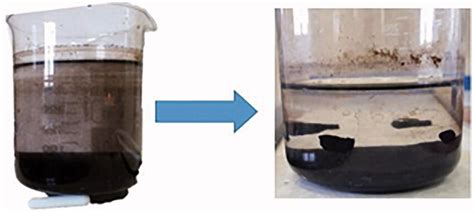 Phase Separation Of Fe3o4 Sediments From Solution Using A Conventional Download Scientific