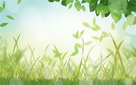 나뭇잎과 풀 배경 일러스트 나뭇잎과 풀 사진 및 배경 화면 무료 다운로드 Pngtree