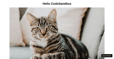 Html2canvas Codesandbox