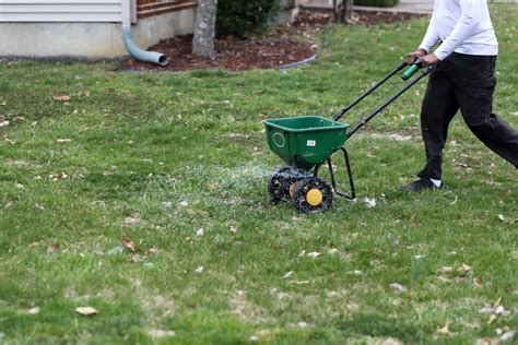 This Is When To Fertilize The Lawn No Matter Your Grass Type Bob Vila