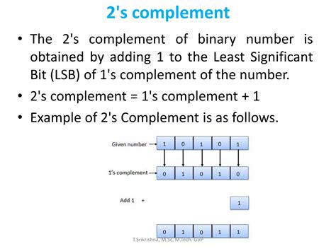 BInary Number Representation PDF