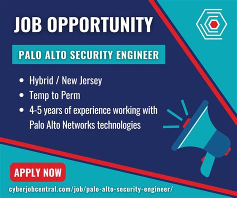 palo alto security engineer alynify